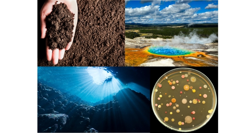 bitBiome株式会社｜シングルセルゲノム解析bit-MAP® | bitBiome, Inc.